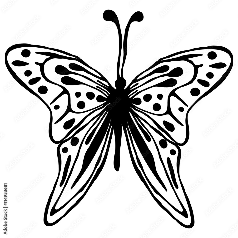 Vector illustration of insect. Cute hand drawn black butterfly isolated ...
