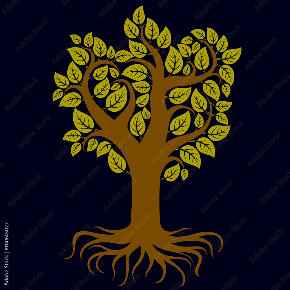 Vector art illustration of branchy tree with strong roots. Tree Stock ...
