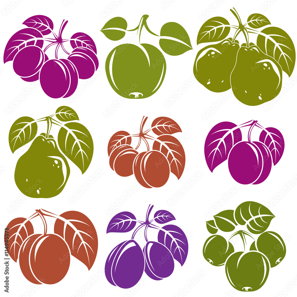 Collection of simple fruits vector icons with green leaves, harv Stock ...