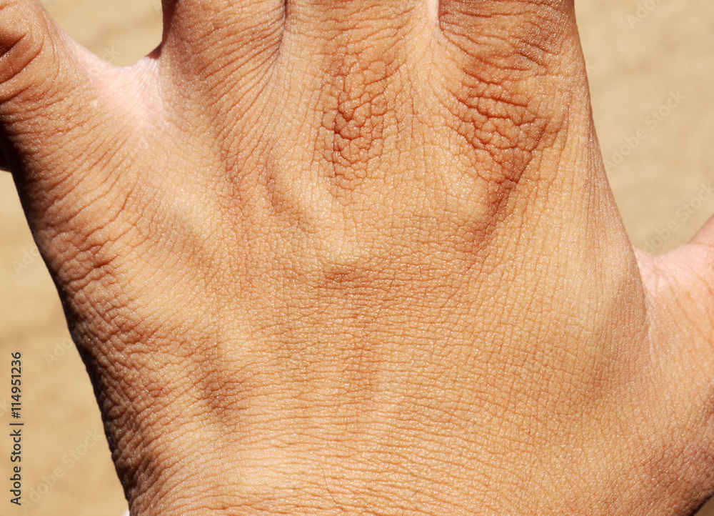 hand human skin texture Stock Photo | Adobe Stock