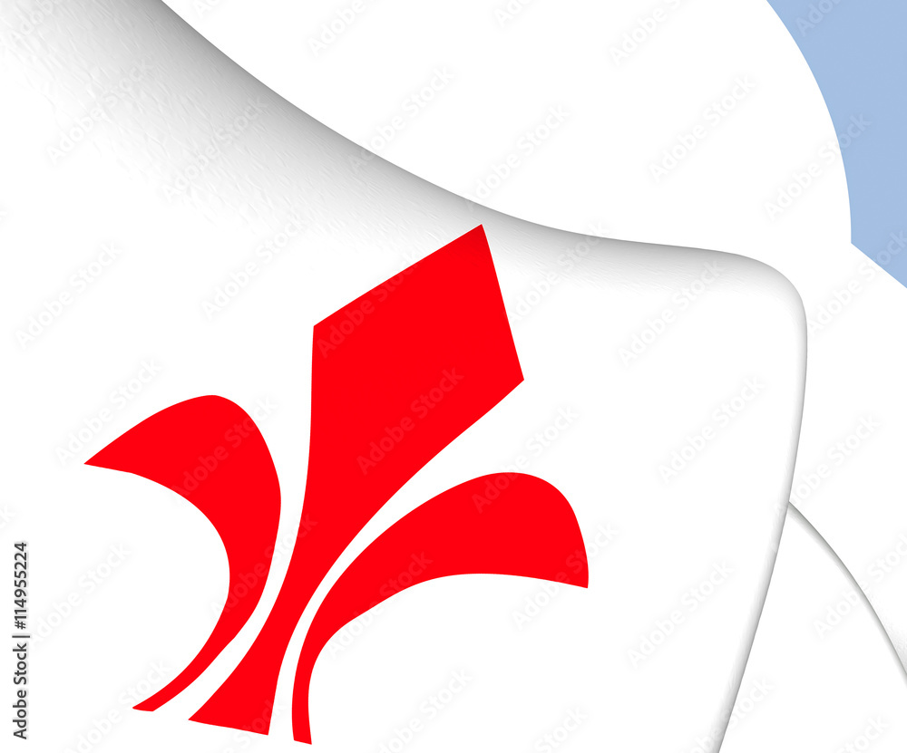 Flag of Lille, France. Stock Illustration | Adobe Stock