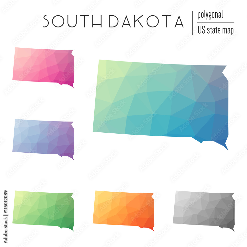 Set of vector polygonal South Dakota maps. Bright gradient map of the ...