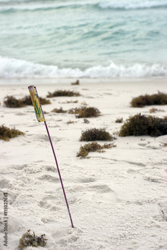 Bottle rocket stuck in the beach sand Stock Photo | Adobe Stock