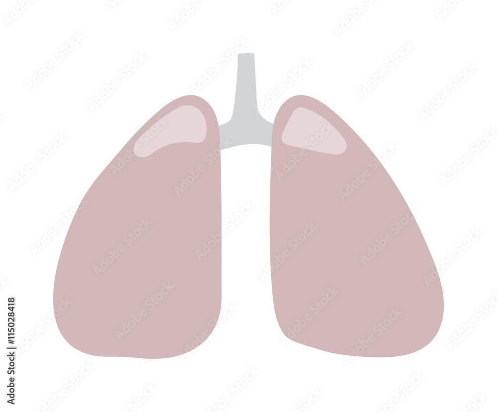 Human lungs icon vector illustration. Health care lungs icon breathe ...