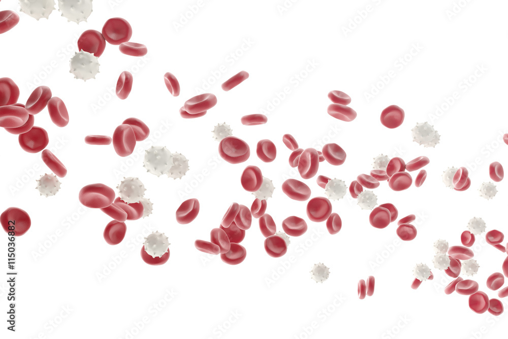 Red and white blood cells isolated on white background. Medical concept ...