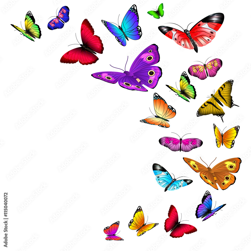 Vector background with flying butterflies. Flow wild butterflies and ...