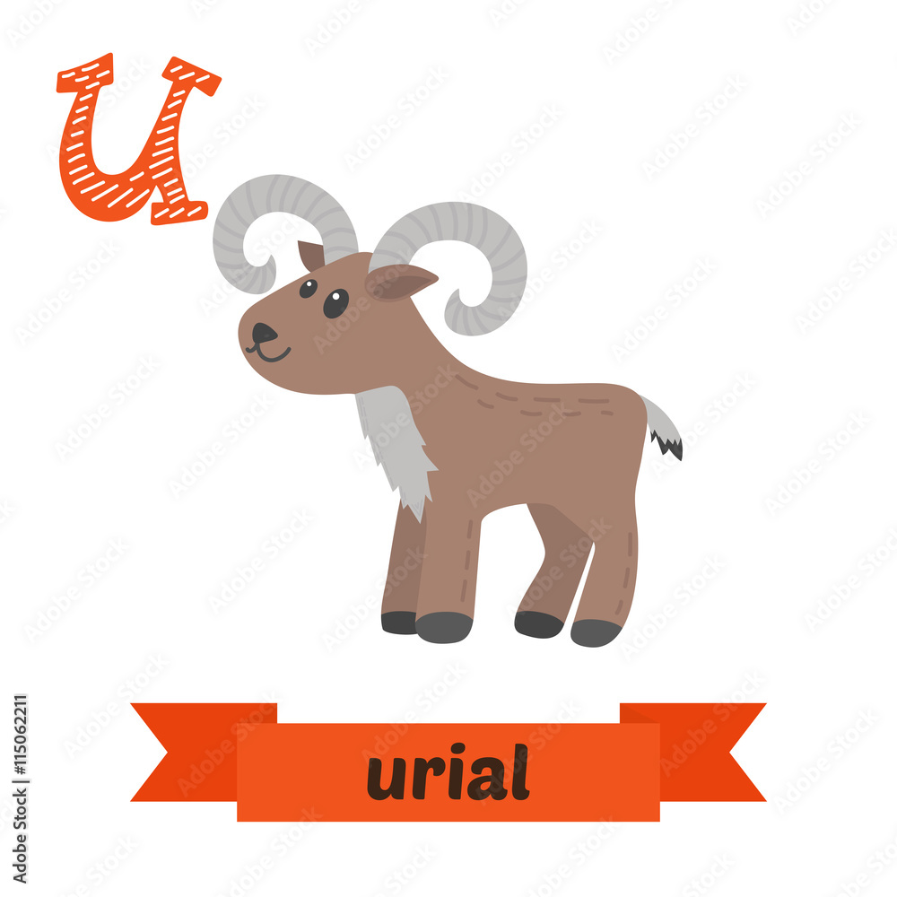 Urial. U letter. Cute children animal alphabet in vector. Funny Stock ...