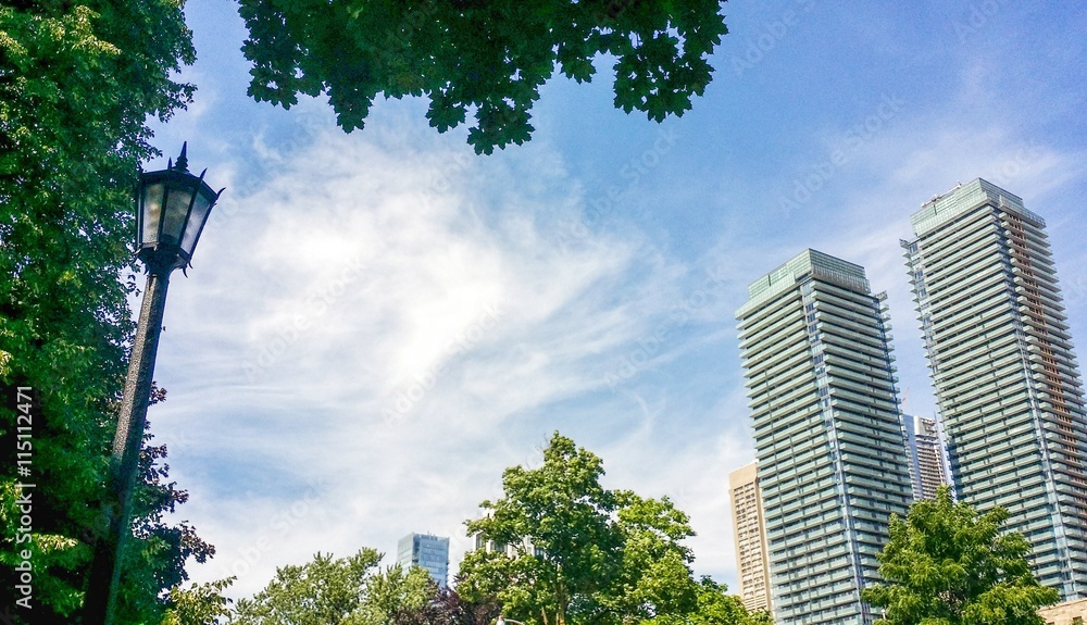 View on highrise buildings from behind green trees Stock Photo | Adobe ...