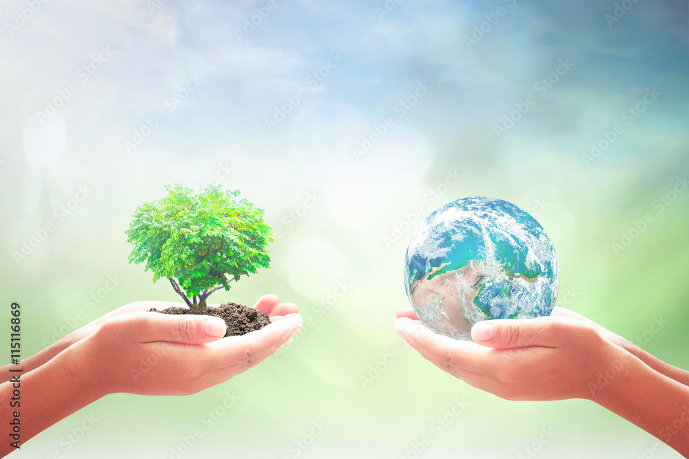 Earth Day concept: Two human hand holding earth globe and heart shape ...