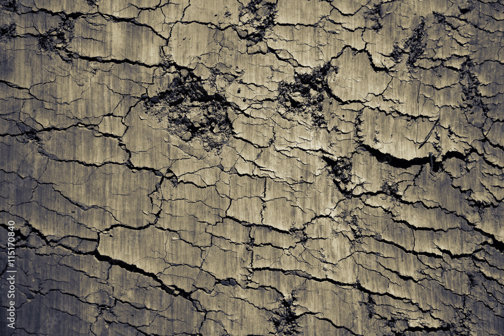 Fondo de Tierra Agrietada en tonos Grises Stock Photo | Adobe Stock