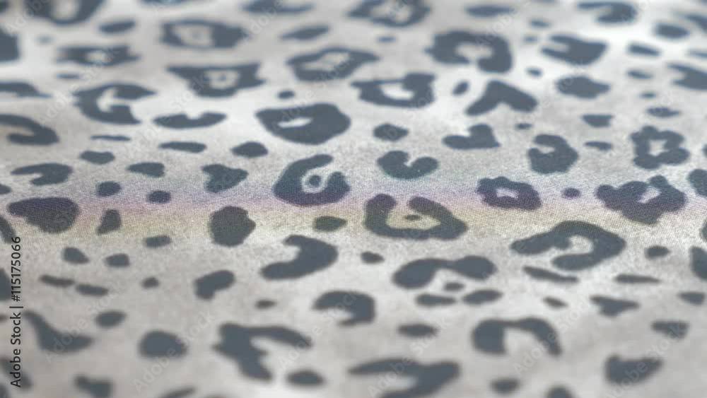 Leopard animal print textile close-up 4K 3840X2160 UHD video - Leopard ...