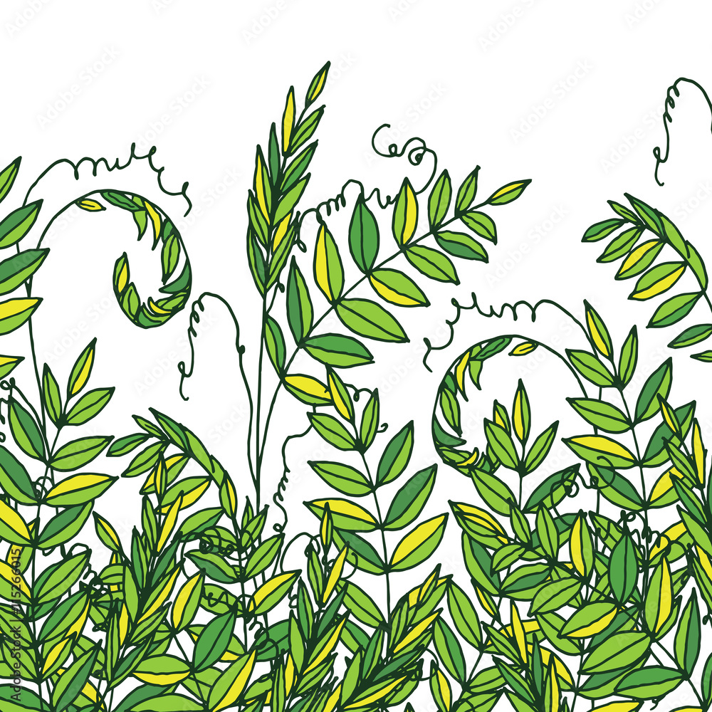 Vector grass sketch, hand drawn illustration with wild herbs Stock ...