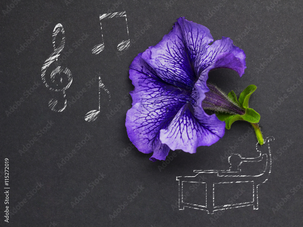 Beauty of music / Creative photo of a flower and illustrated gramophone ...