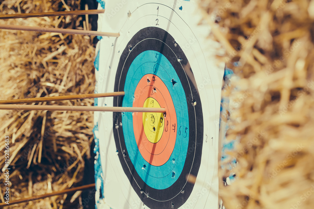 Archery target with arrows Stock Photo | Adobe Stock