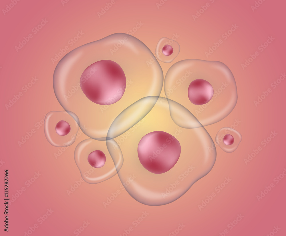 Cells - Biology Stock Vector | Adobe Stock