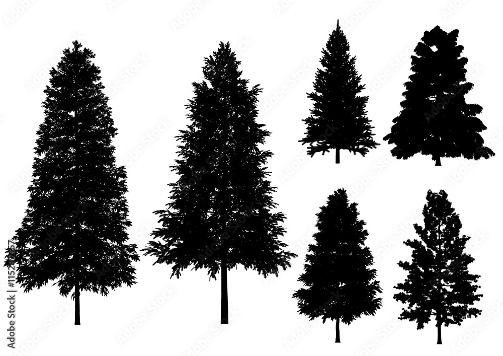 Vector trees isolated on a white background. Stock Vector | Adobe Stock