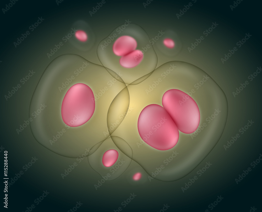 Cells - Biology Stock Vector | Adobe Stock