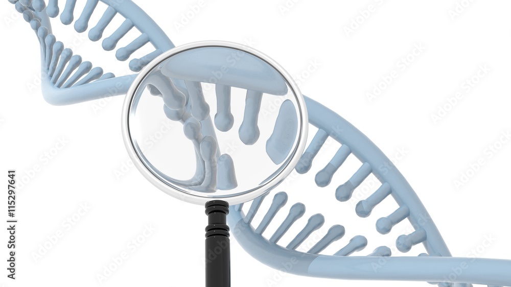 DNA Double Helix with magnifying glass, on white background. 3D ...