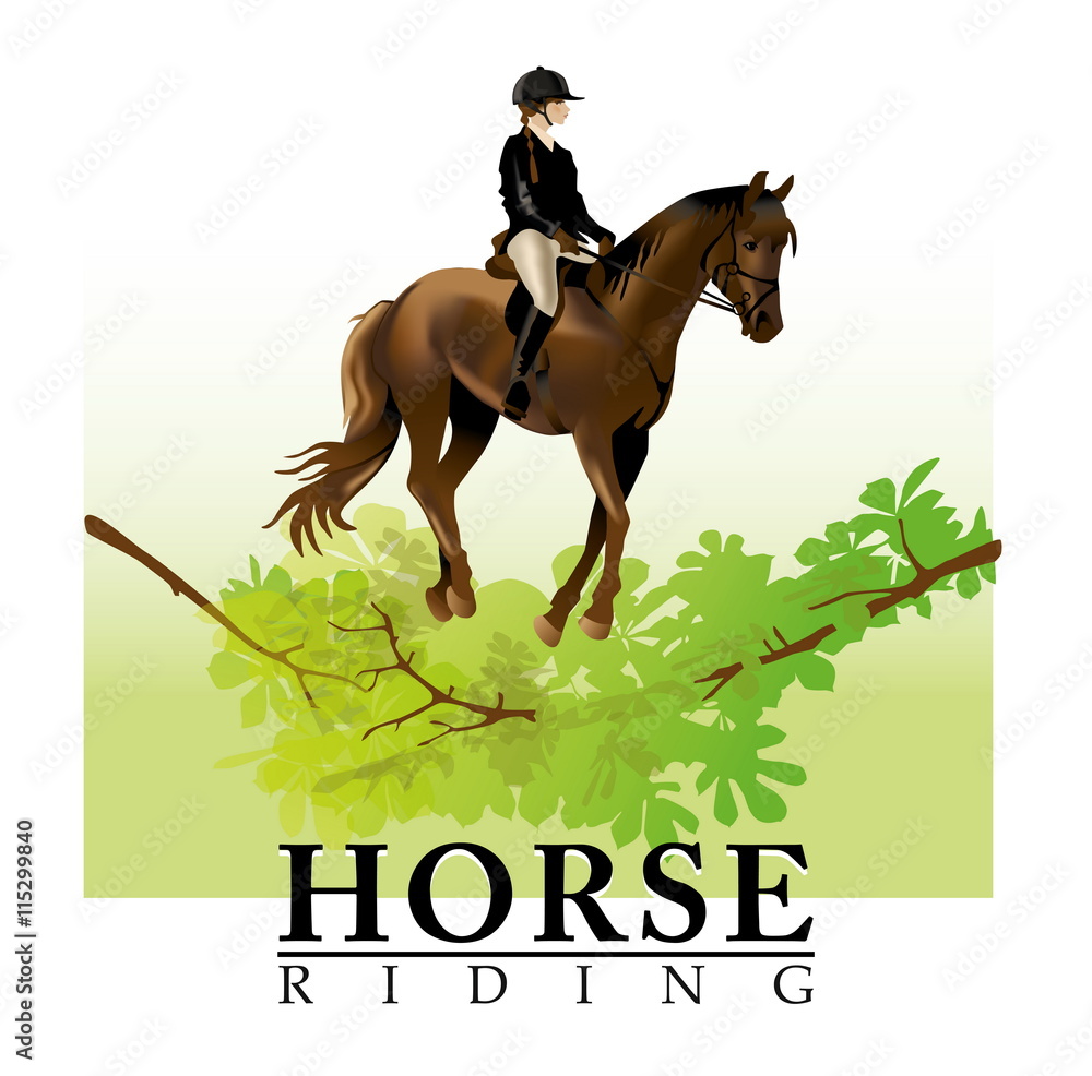 Horse Rider Woman. Equestrian Sport. Realistic vector illustration ...