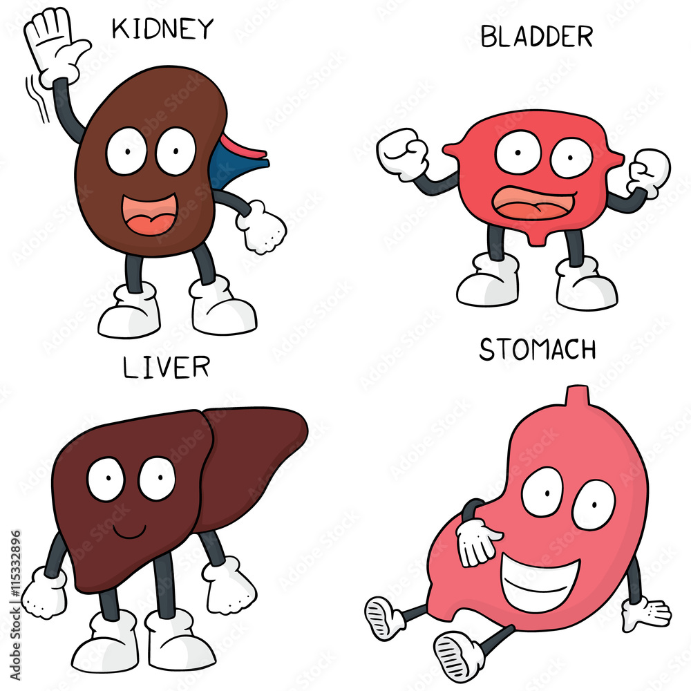 vector set of internal organ cartoon Stock Vector | Adobe Stock