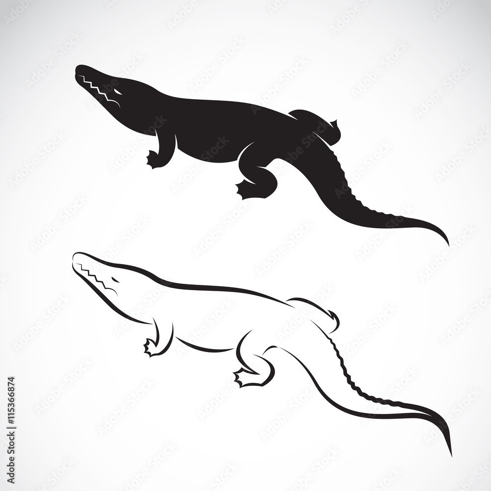 Vector of crocodile design on white background. Vector crocodile Stock ...
