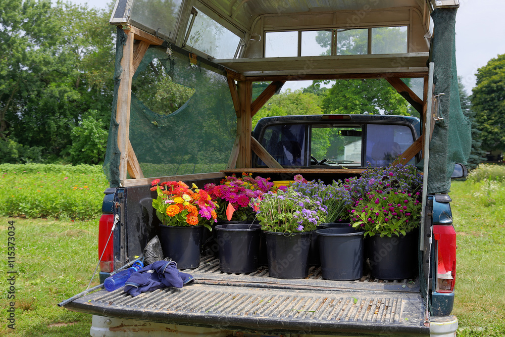 Foto Stock Truck with harvest of flowers at an organic flower farm ...