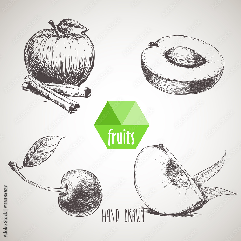 Hand drawn sketch style fruits set. Apple with cinnamon sticks, half of ...