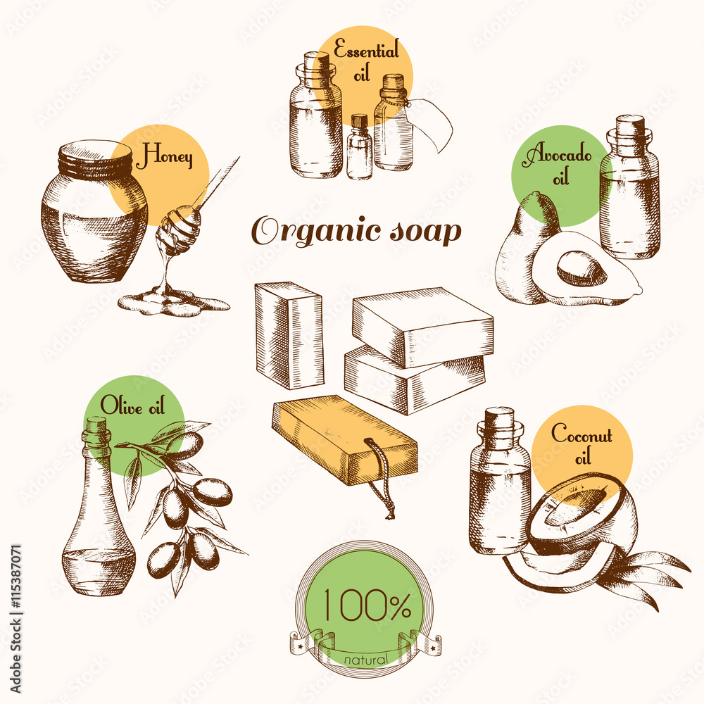 Ingredients for creating organic soap. Natural product. Sketch freehand ...