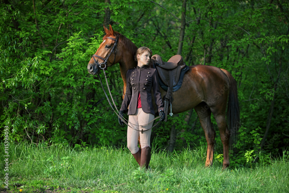 Beauty model girl in equestrian hunt uniform posing with horse Stock ...