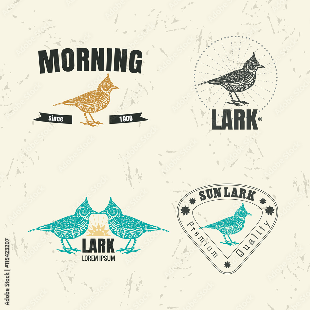 Vector colorful set with desert Crested lark bird. The lark bird as ...