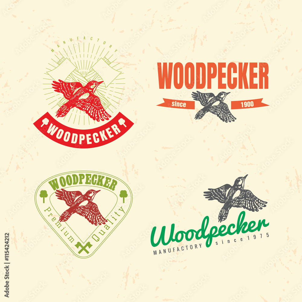 Vector colorful logo set with forest woodpecker bird. The woodpecker ...