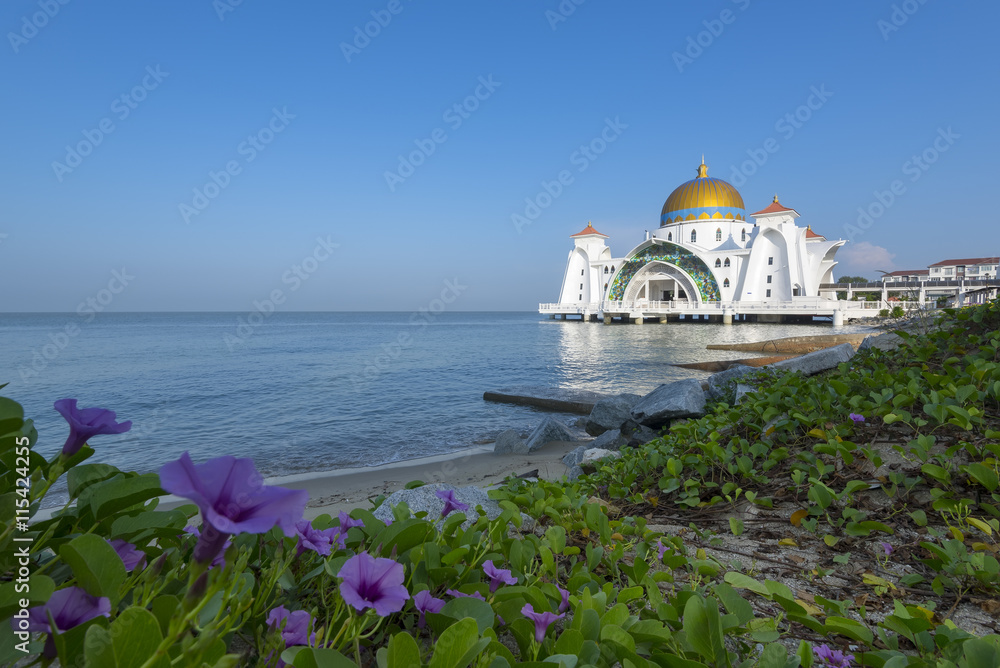 The Vibrant Color of Shah Alam Mosque / Salahuddin Abdul Aziz Shah ...