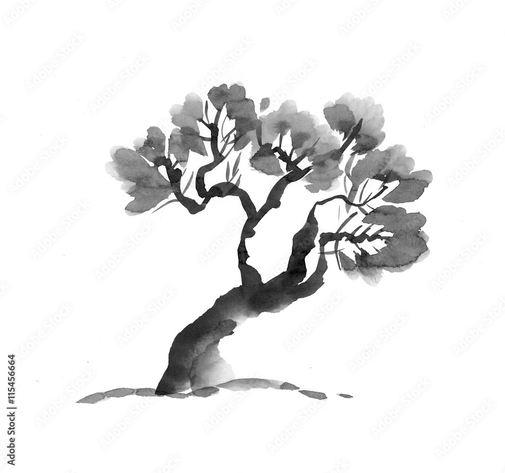 old tree hand drawn in black and white. ink illustration Stock ...
