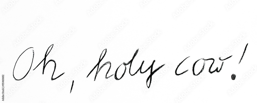 Oh, holy cow - handgezeichnete Illustration mit Zeichenkohle in schwarz ...