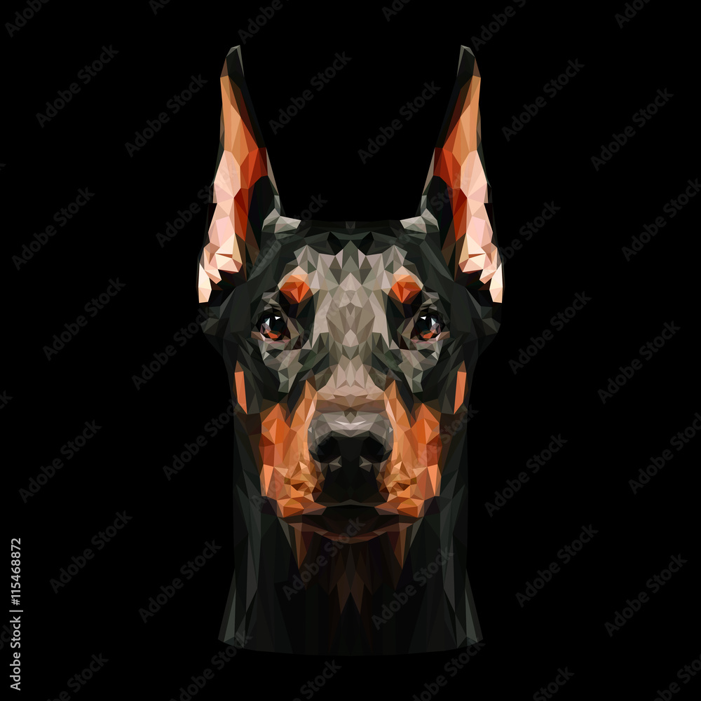 Doberman Pinscher Dog animal low poly design. Triangle vector ...