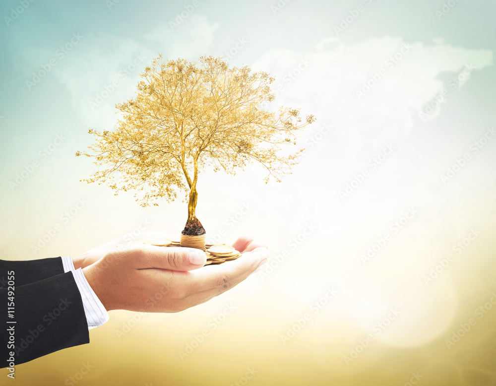 Investment concept: Businessman hands holding stacks of golden coins ...
