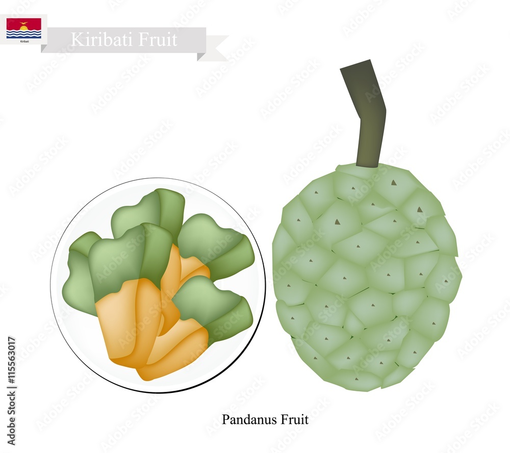 Screw Pine, A Native Fruit in Kiribati Stock Vector | Adobe Stock