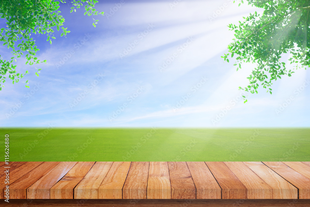 Nature green field and leaf with wood floor background Stock Photo ...