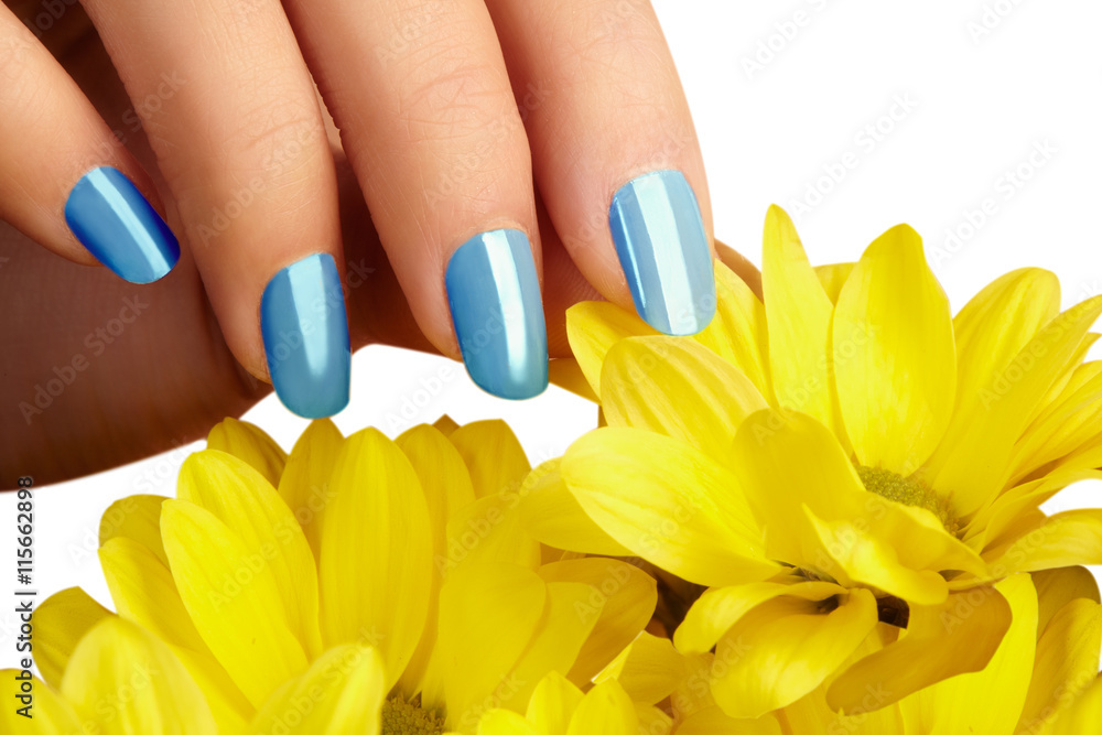 Beautiful female fingers with trend blue manicure touching spring ...