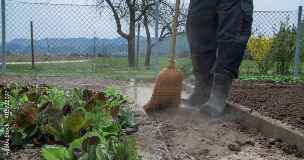 A young gardener needs to sweep a dirty garden path as it was full of ...
