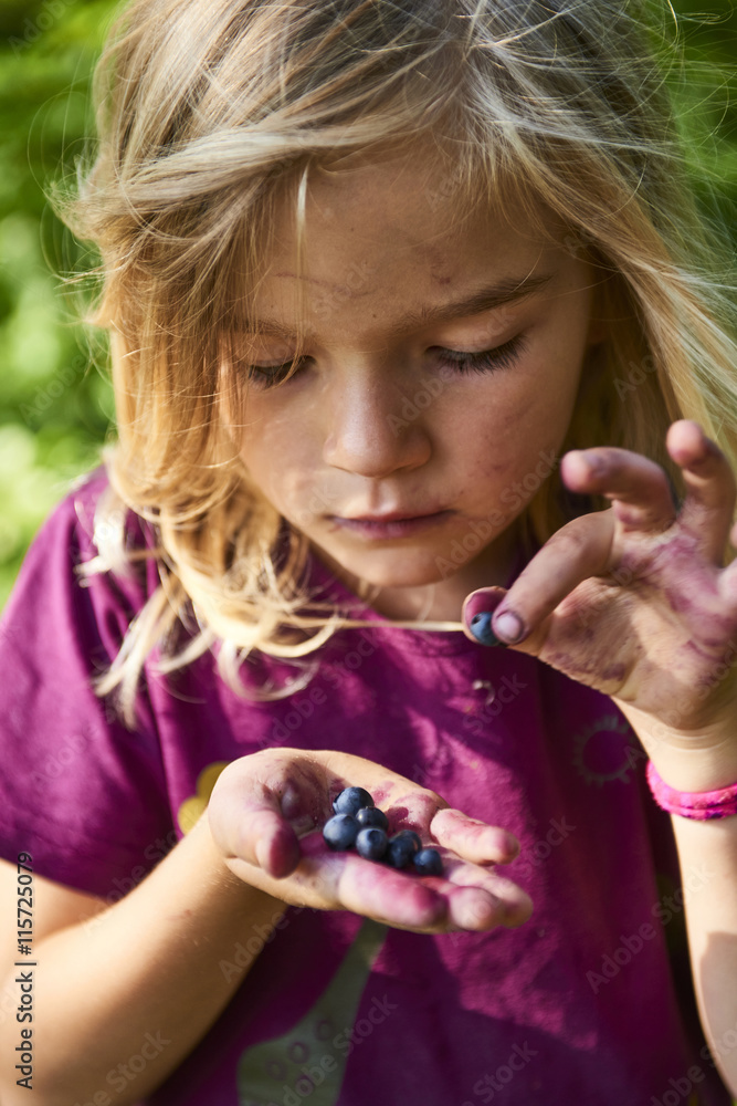 Child blond little girl picking fresh berries on blueberry field in ...