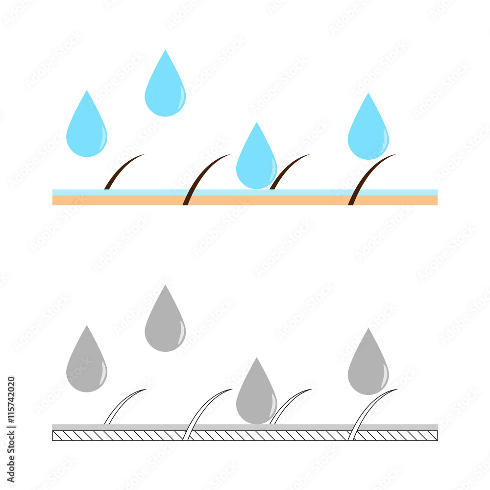 Skin hydration sectional view. Stock Vector | Adobe Stock