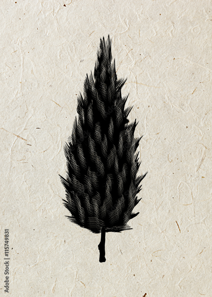 Cypress. Drawing tree on a beige rice paper. Black silhouette wood ...