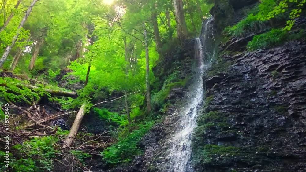 Vidéo Stock Waterfall in alpine forest over Partnach Gorge or ...