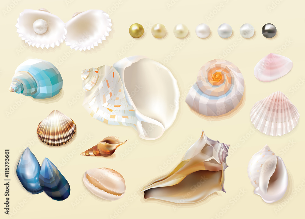 Pretty Shells