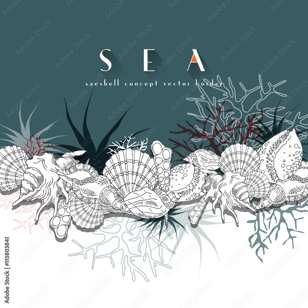 Seashells vector border turquoise concept border. Seashells isolated ...
