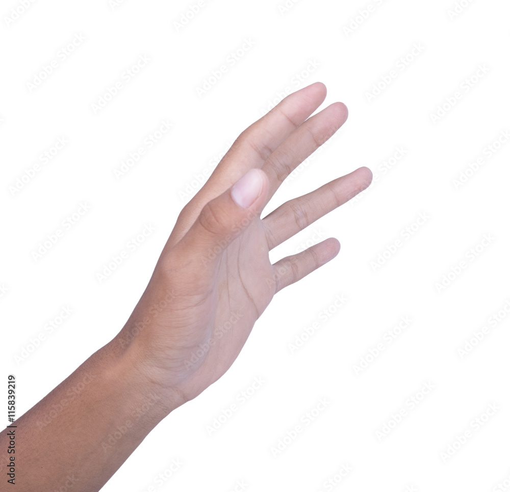 Hand isolated on white background Stock Photo | Adobe Stock