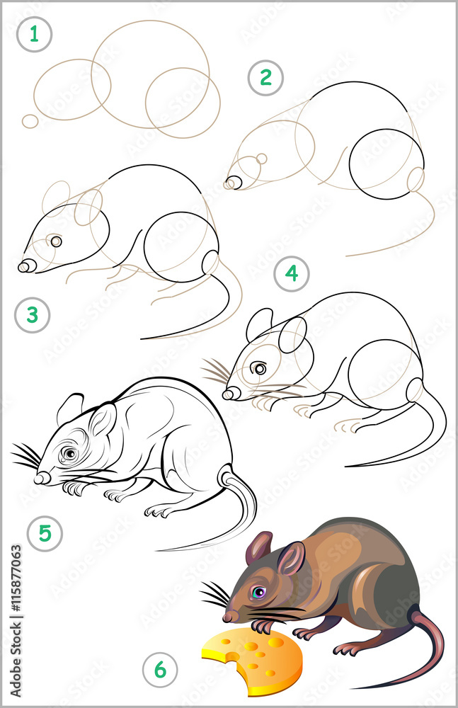 Page shows how to learn step by step to draw a rat. Developing children ...