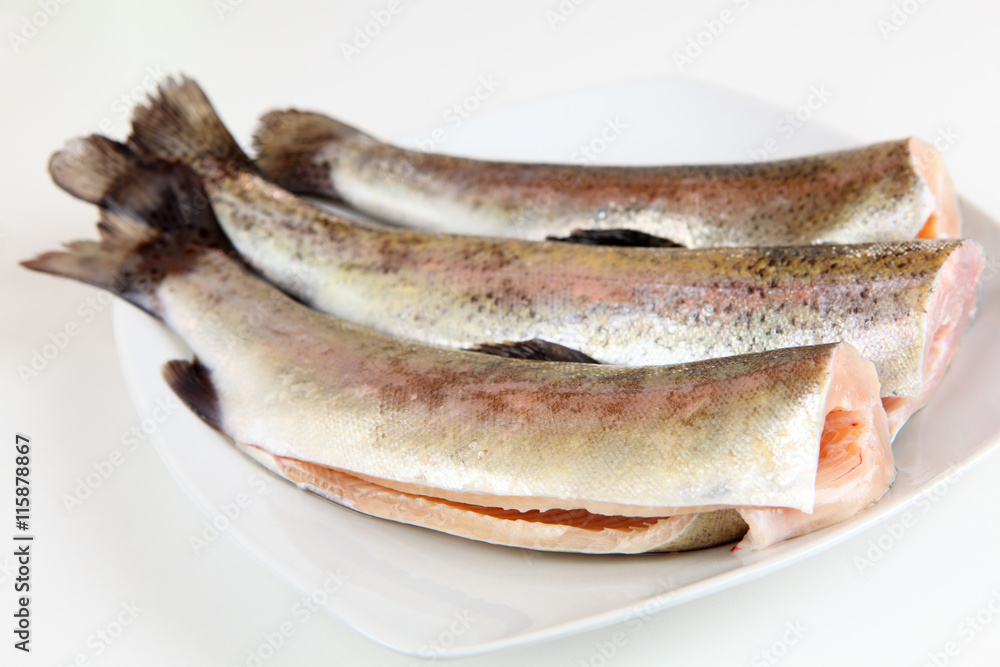 Forelle Stock Photo | Adobe Stock