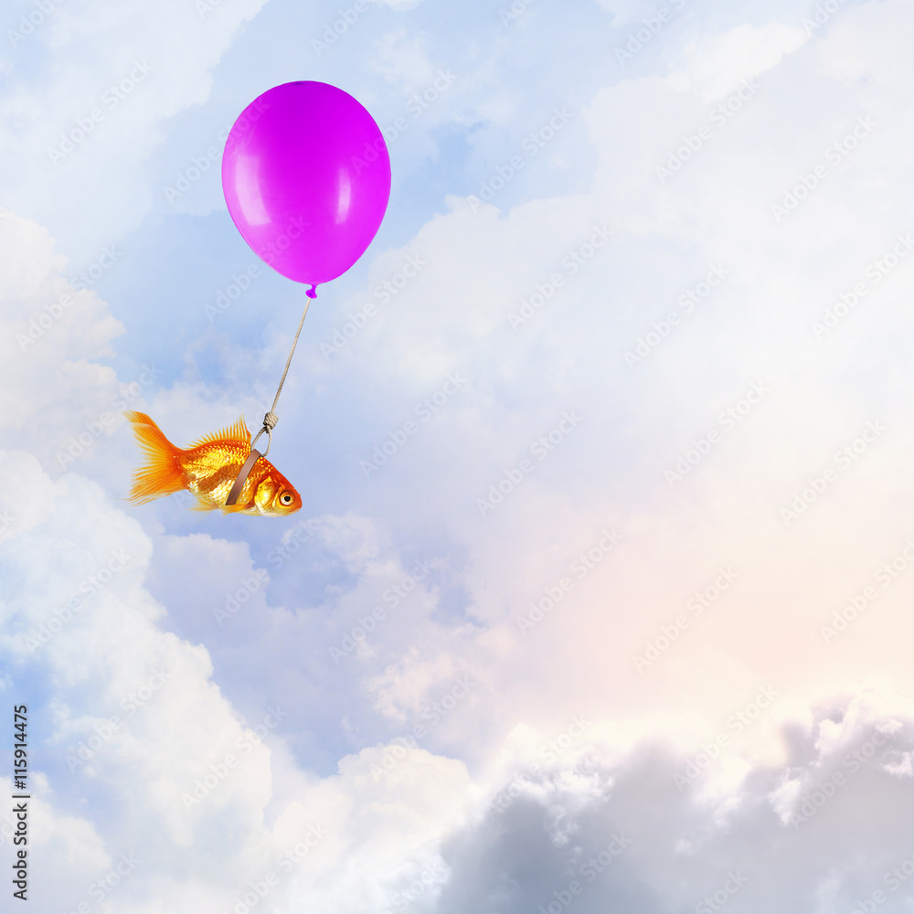 Goldfish fly on balloon . Mixed media Stock-Foto | Adobe Stock